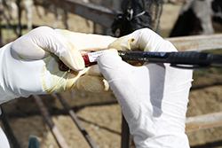 Sistema de Gestión de Emergencias Sanitarias (SIGES) | SAG